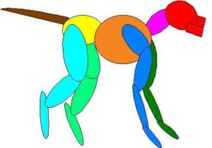 Basics of Locomotion & Gait Analysis of the Dog | SportsVet.com